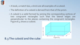 C8: Surface Area and Volume | PPTX