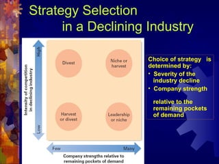 Chapter 8 tailoring strategy bus 690 | PPT