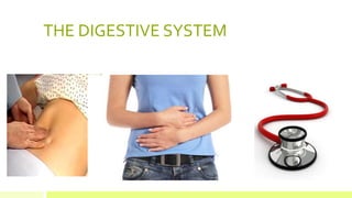 Chapter 8 the digestive system | PPT