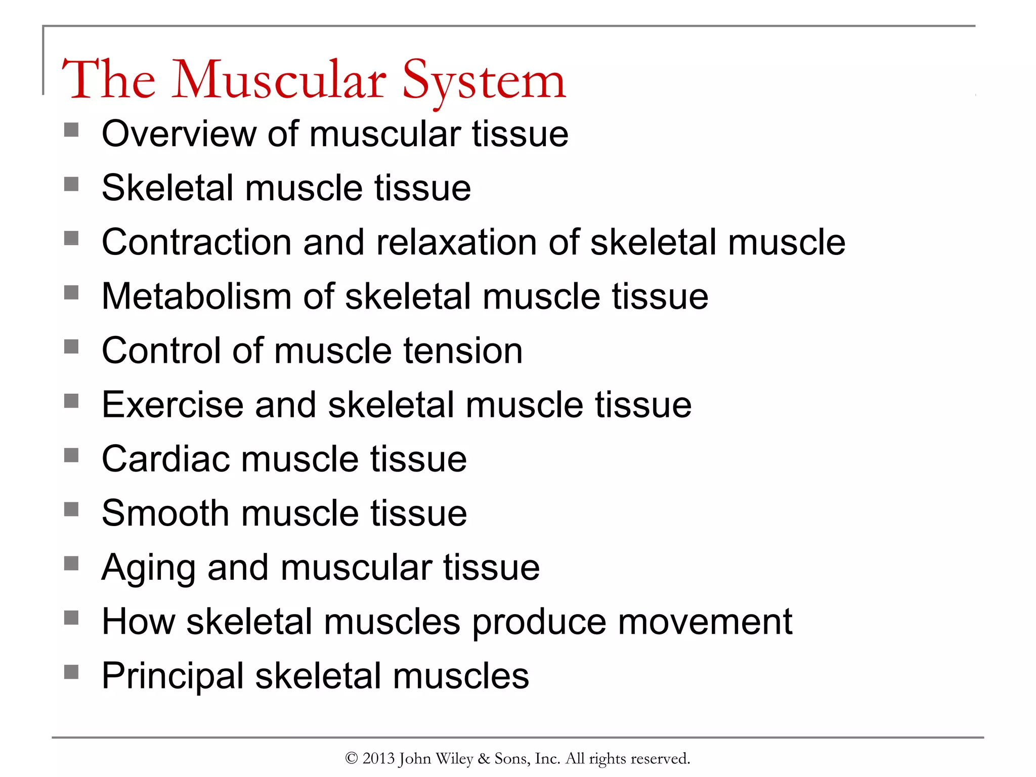 Chapter 8 the muscular system | PPT