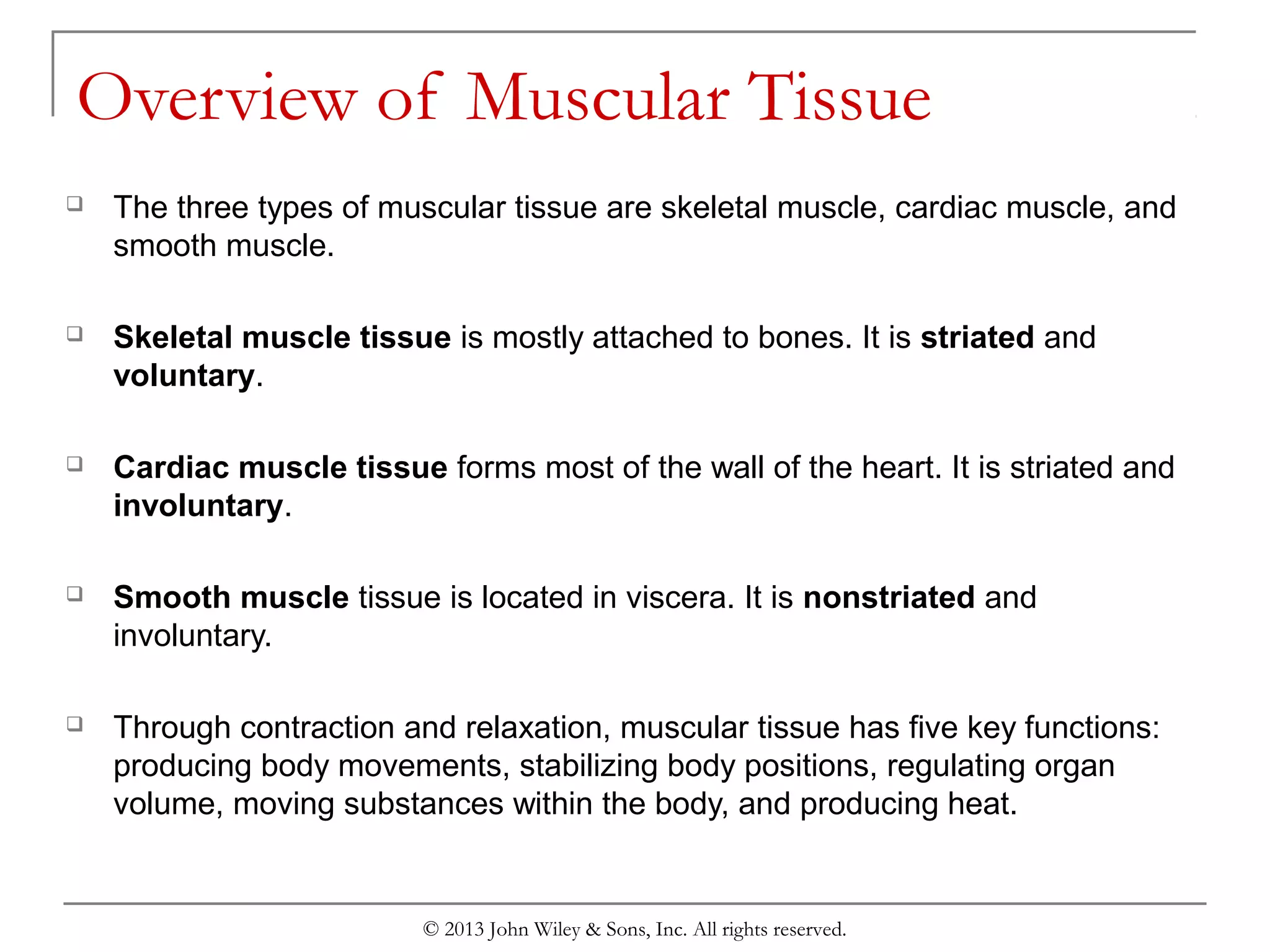 Chapter 8 the muscular system | PPT