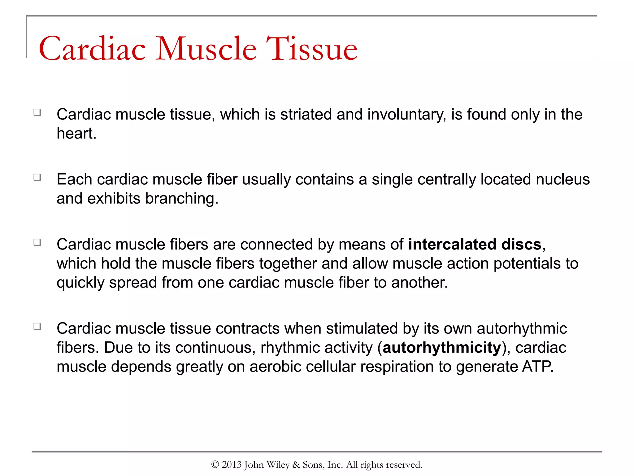 Chapter 8 the muscular system | PPT