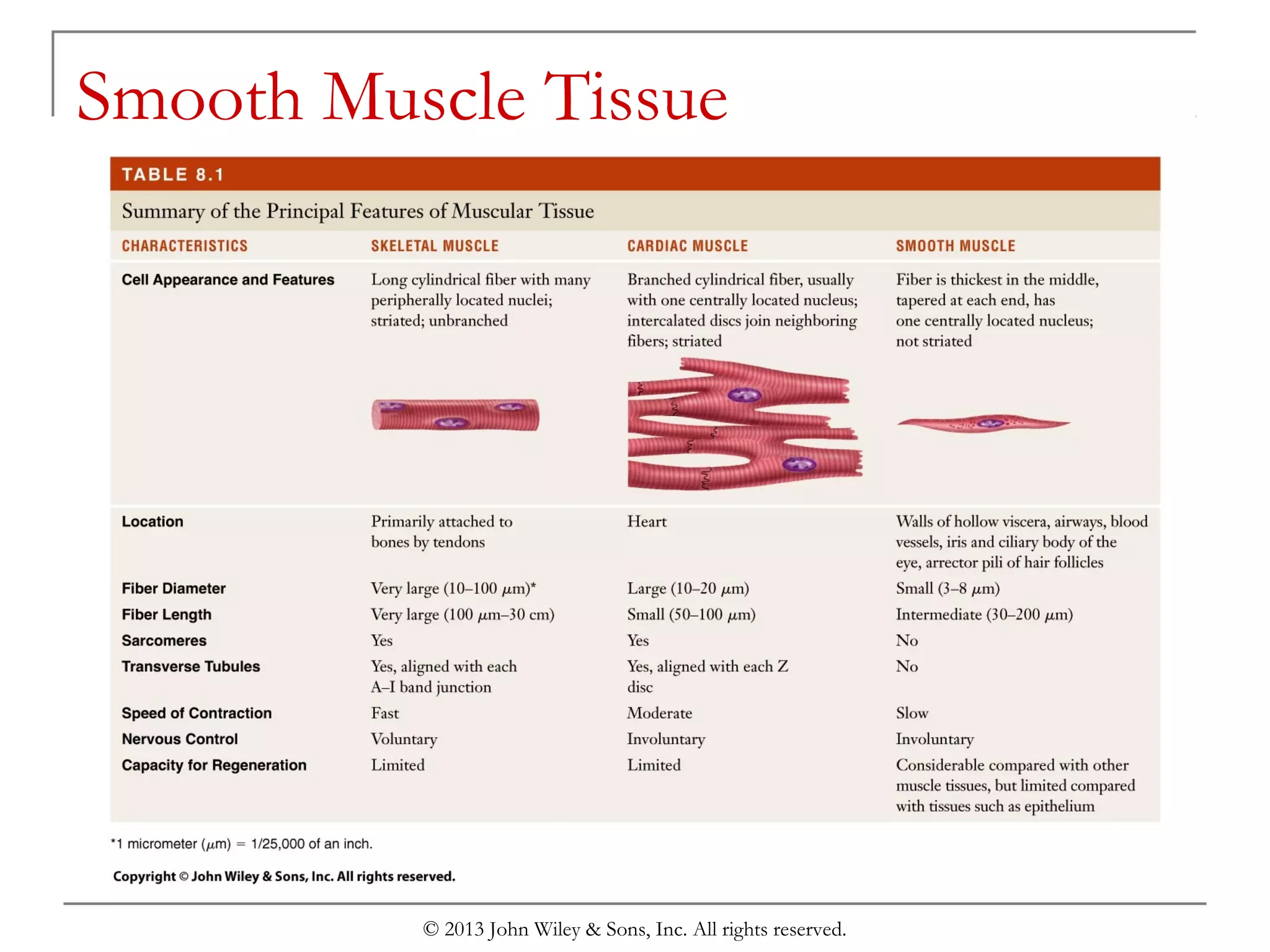 Chapter 8 the muscular system | PPT