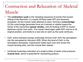 Chapter 8 the muscular system | PPT