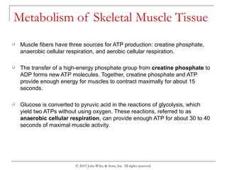 Chapter 8 the muscular system | PPT
