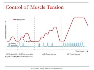 Chapter 8 the muscular system | PPT