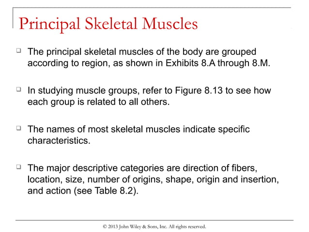 Chapter 8 the muscular system | PPT | Physical Therapy | Wellness