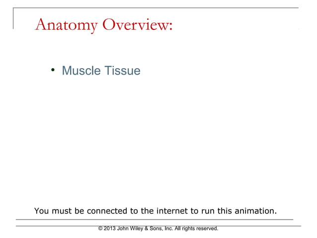 Chapter 8 the muscular system | PPT | Physical Therapy | Wellness