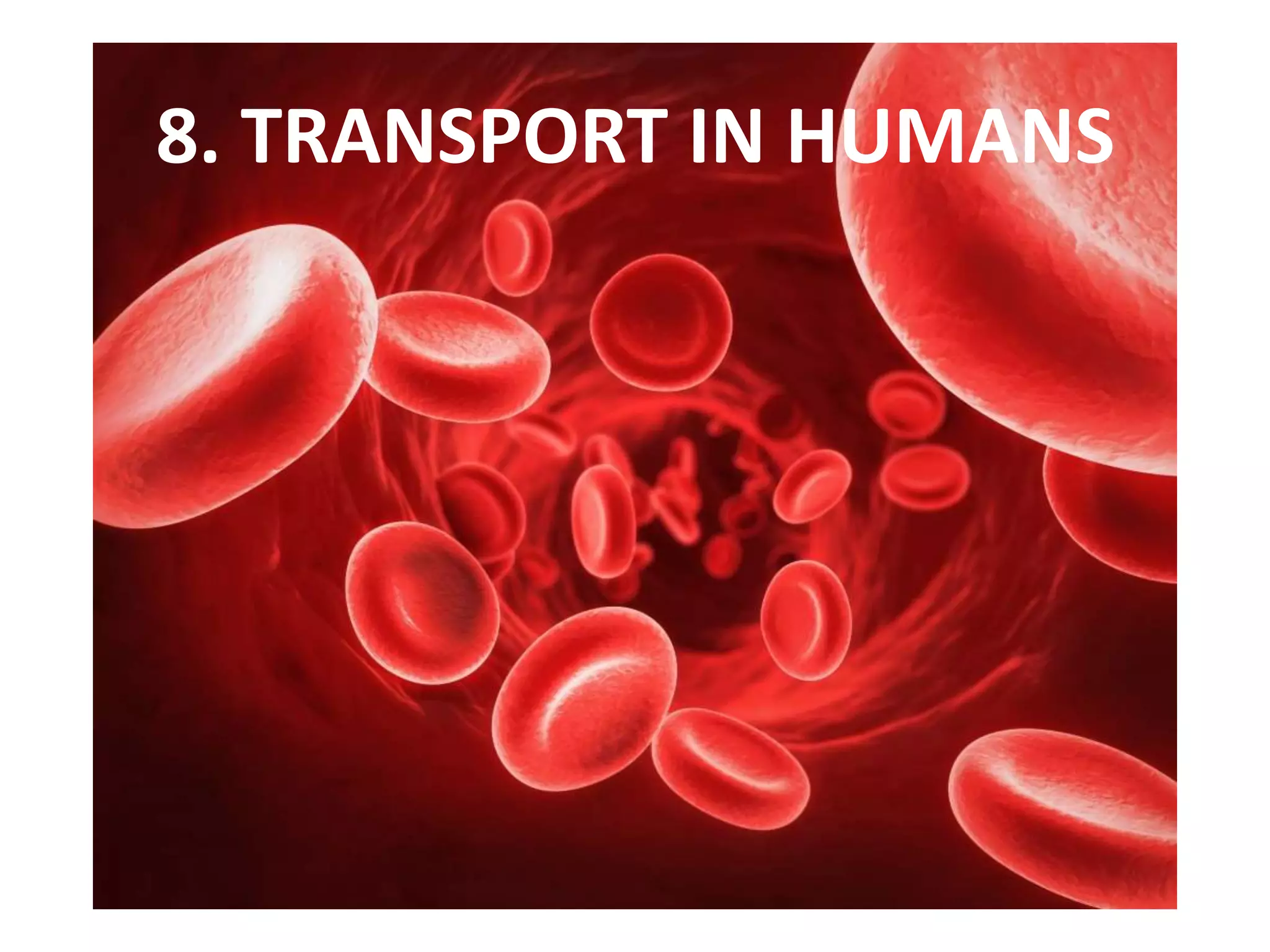 Chapter 8 transport in humans | PPTX