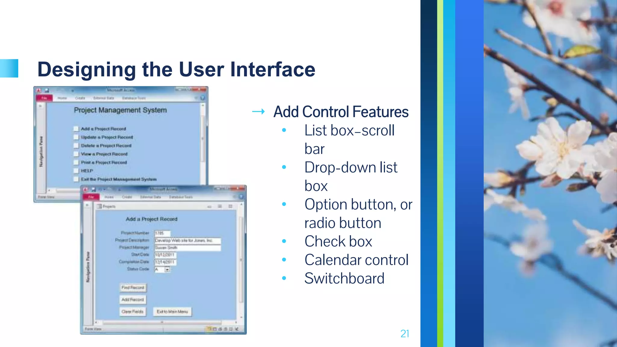Chapter 8 User Interface Design | PPTX