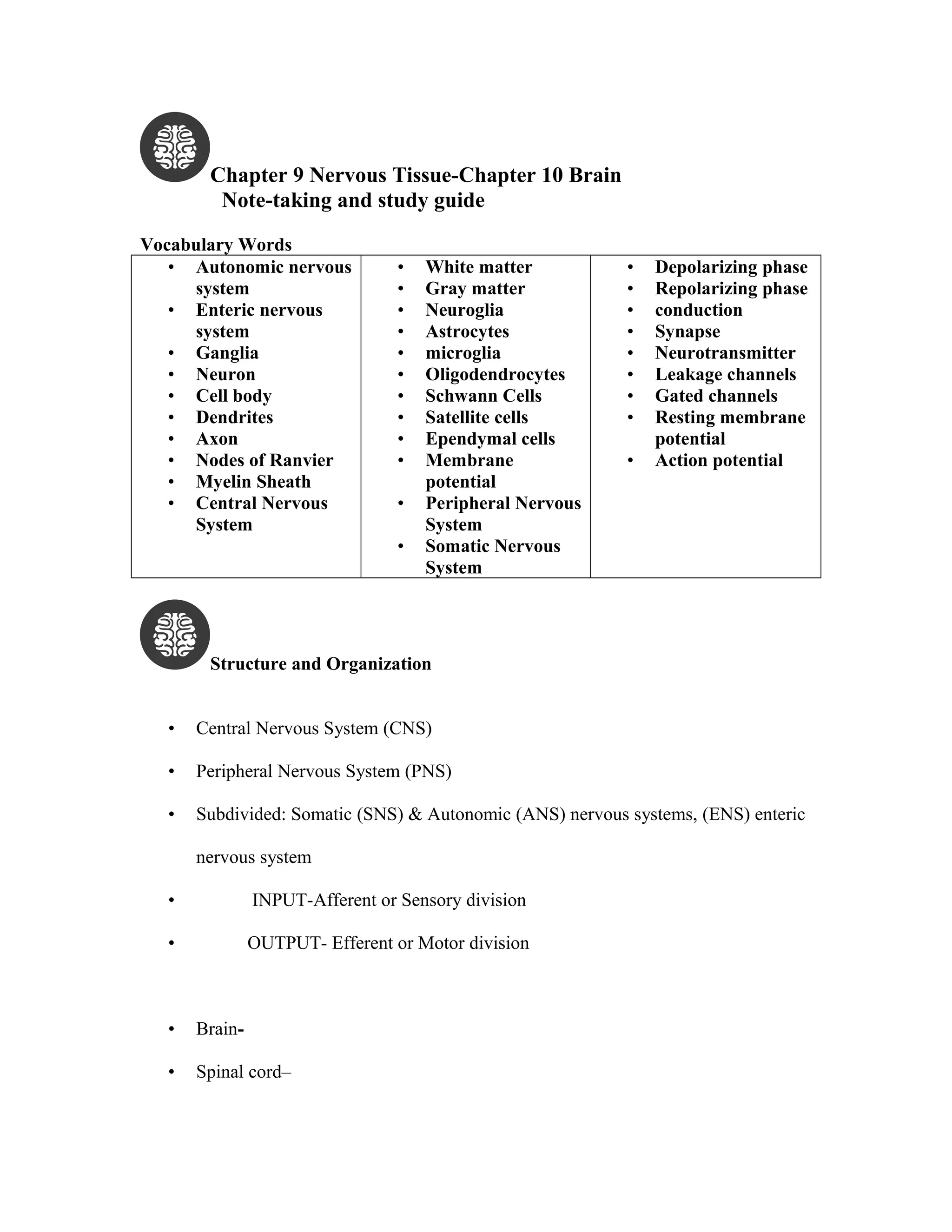 Chapter 9 10 Nervous Tissue And Brain Note Taking Guide Pdf