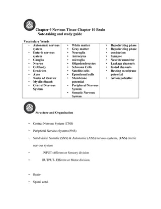 Chapter 9 10 nervous tissue and brain note taking guide | PDF