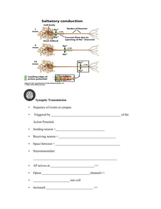 Chapter 9 10 nervous tissue and brain note taking guide | DOC