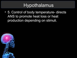 Chapter 9 10 11 12 Nervous System notes | PPT