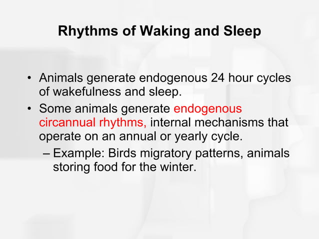 Chapter9 Power Point Lecture | PPT