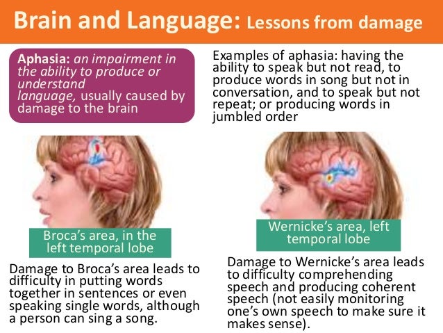 PSY 150 403 Chapter 9 SLIDES