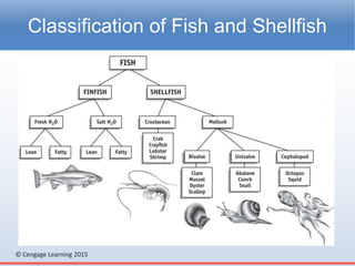 Chapter 9 - Fish and Shellfish | PPTX