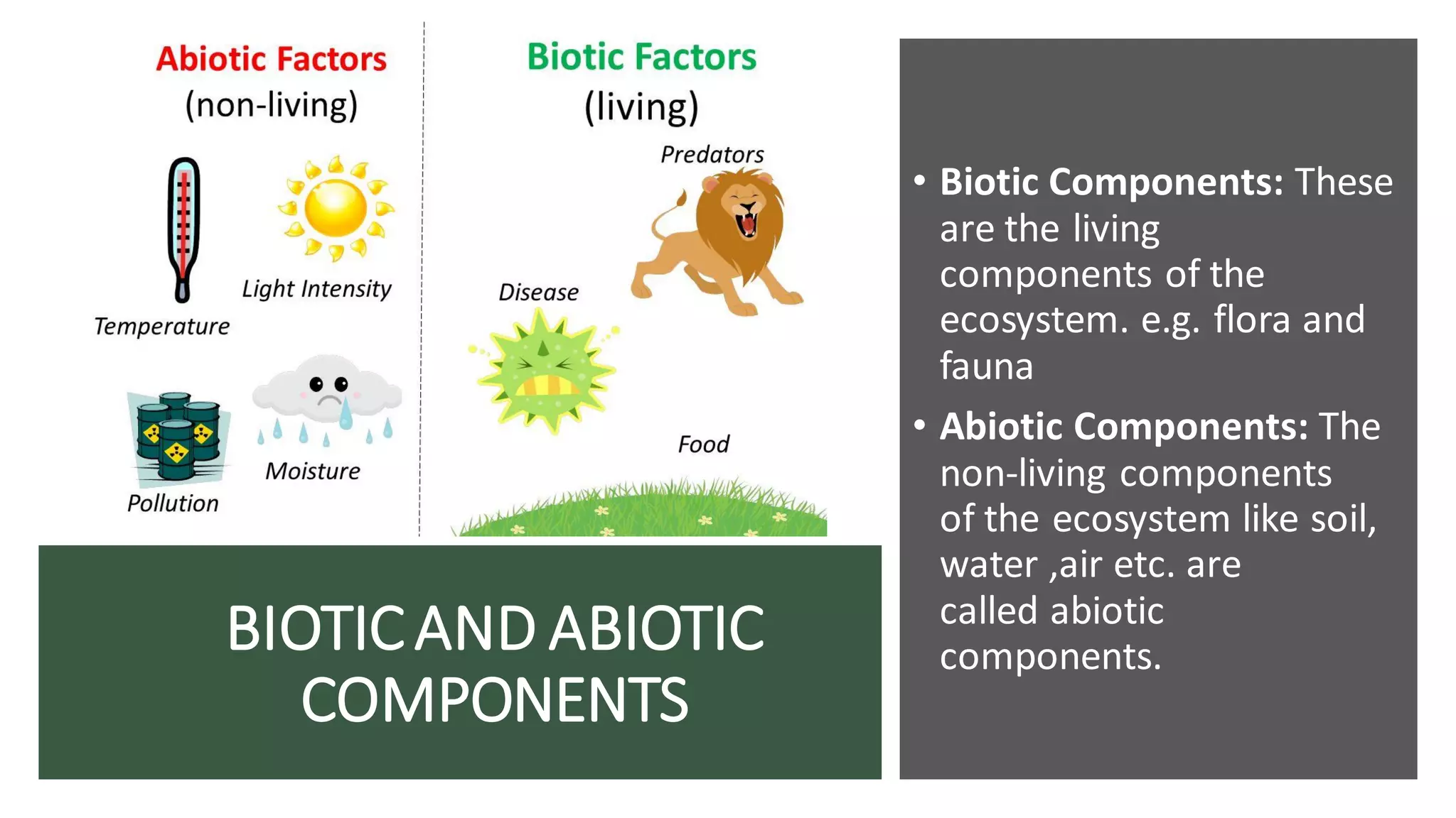Chapter - 9, Living Organisms And Their Surroundings, Science, Class 6 ...