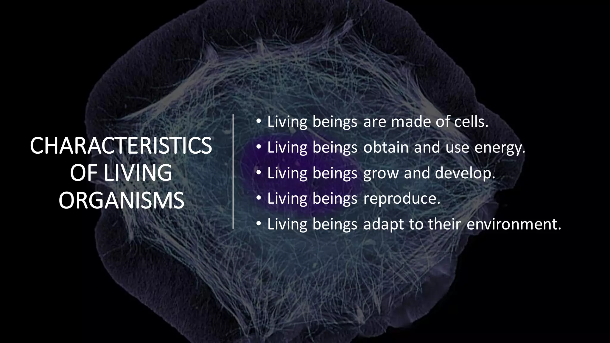 Chapter - 9, Living Organisms And Their Surroundings, Science, Class 6 | PDF