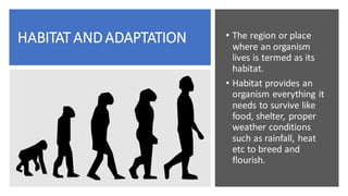 Chapter - 9, Living Organisms And Their Surroundings, Science, Class 6 ...