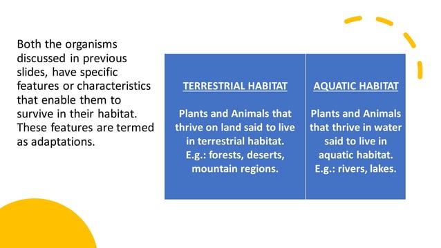 Chapter - 9, Living Organisms And Their Surroundings, Science, Class 6 | PDF