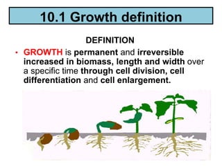 Chapter 9.5 Growth.pptx