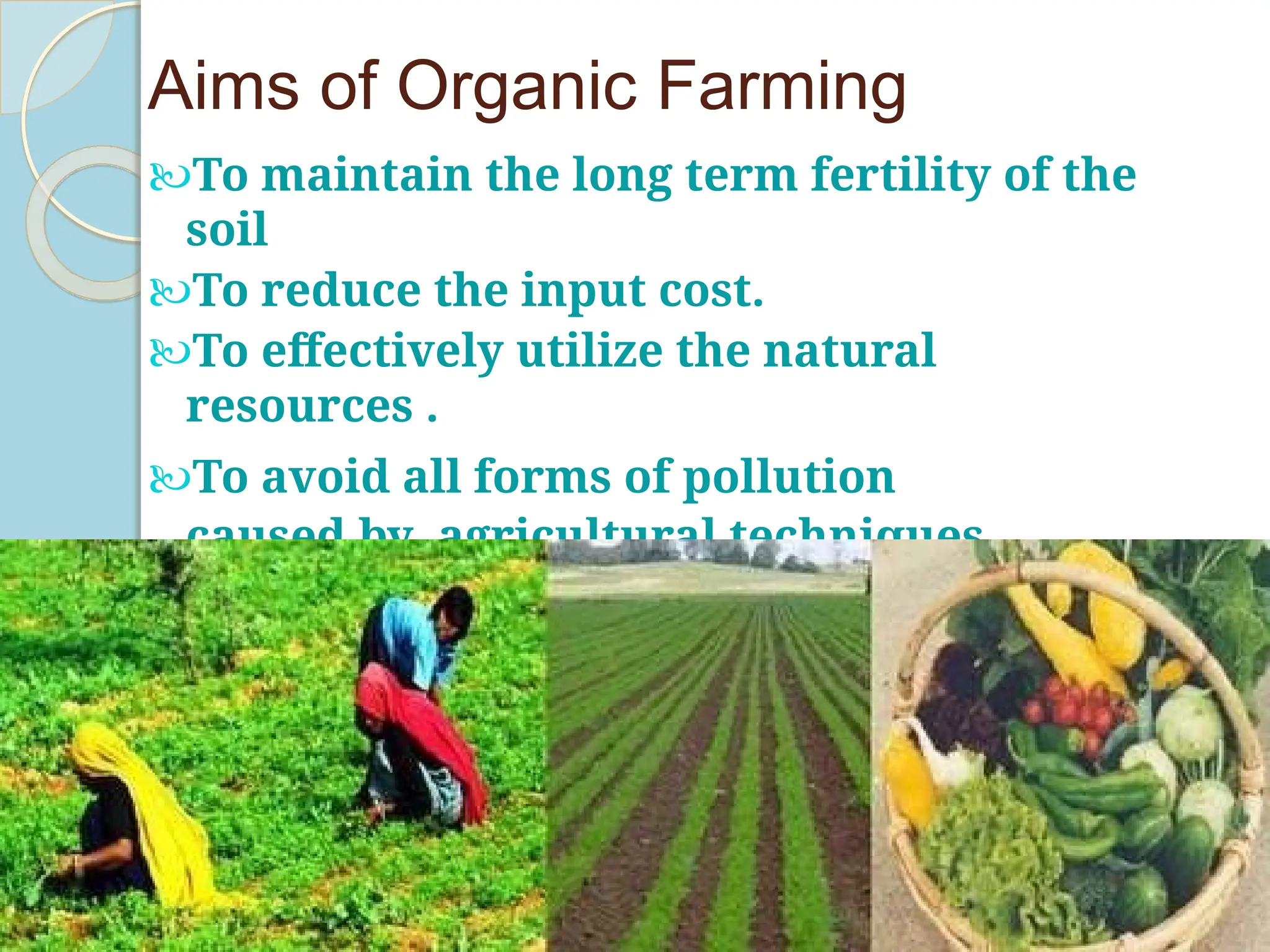 Chapter # 9.3_Organic Farming.and itspptx | PPTX
