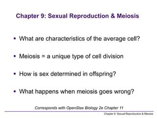 Comprehensive Overview of Sexual Reproduction and Meiosis Processes | PDF