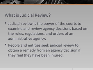 Chapter 9.access to judicial review | PPT