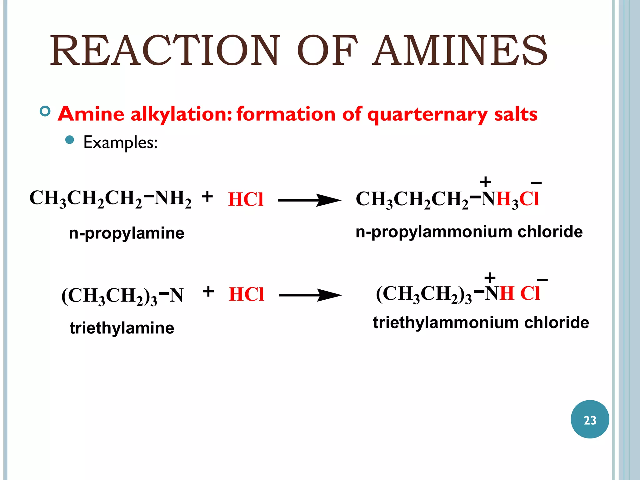 Chapter 9 amine | PPT