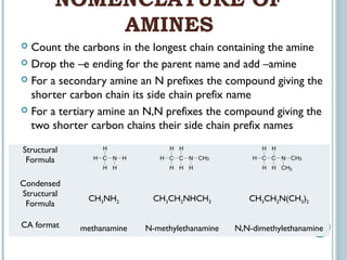 Chapter 9 amine | PPT