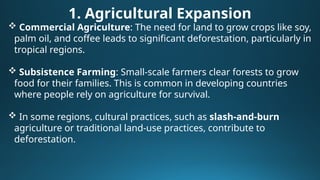 CHAPTER 9 - CAUSES OF DEFORESTATION.pptx