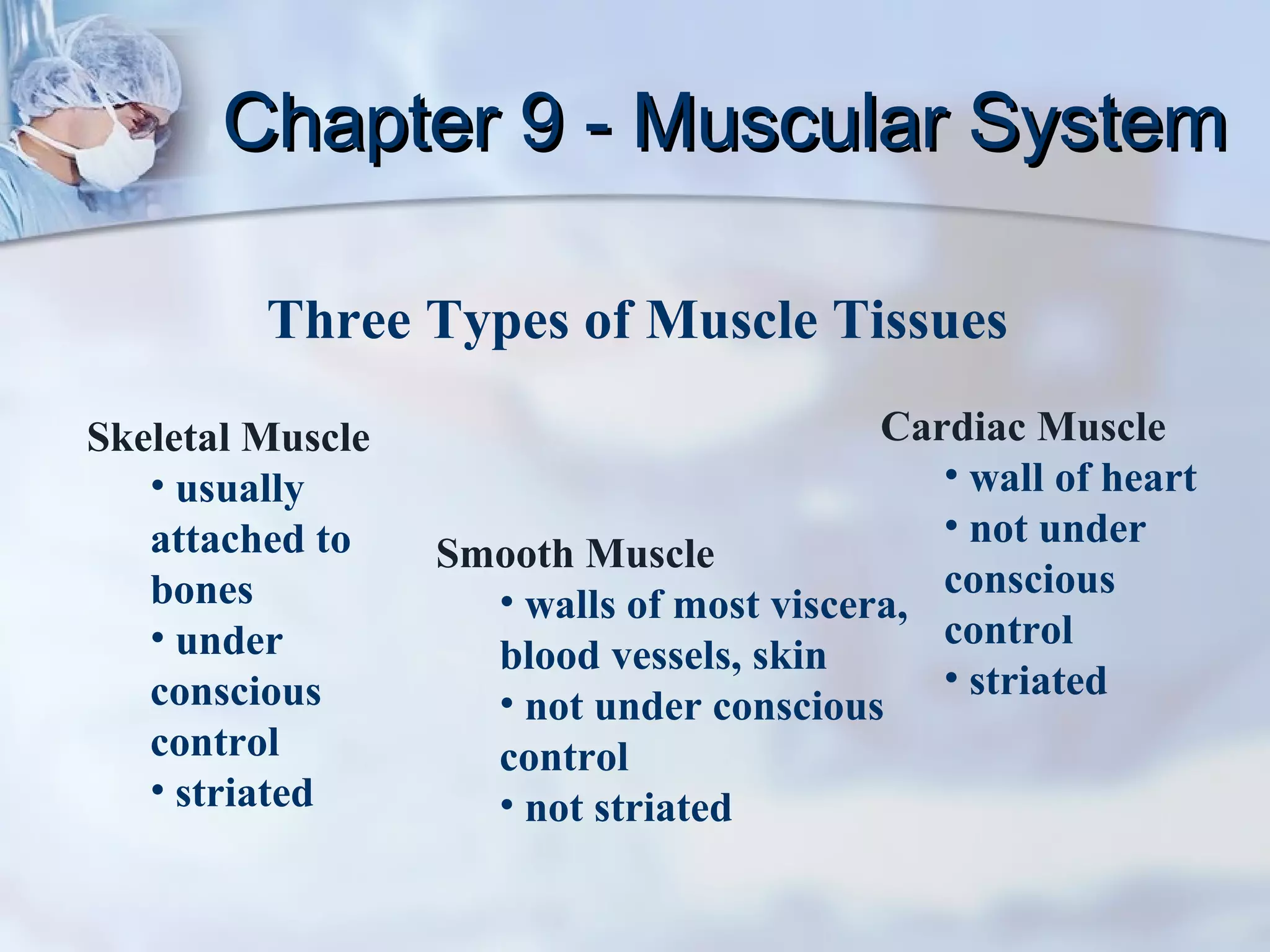 Chapter 9 muscular system | PPT