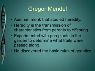 Chapter 9+12 Notes | PPT