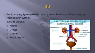 Chapter 9 abbreviations (1) | PPT