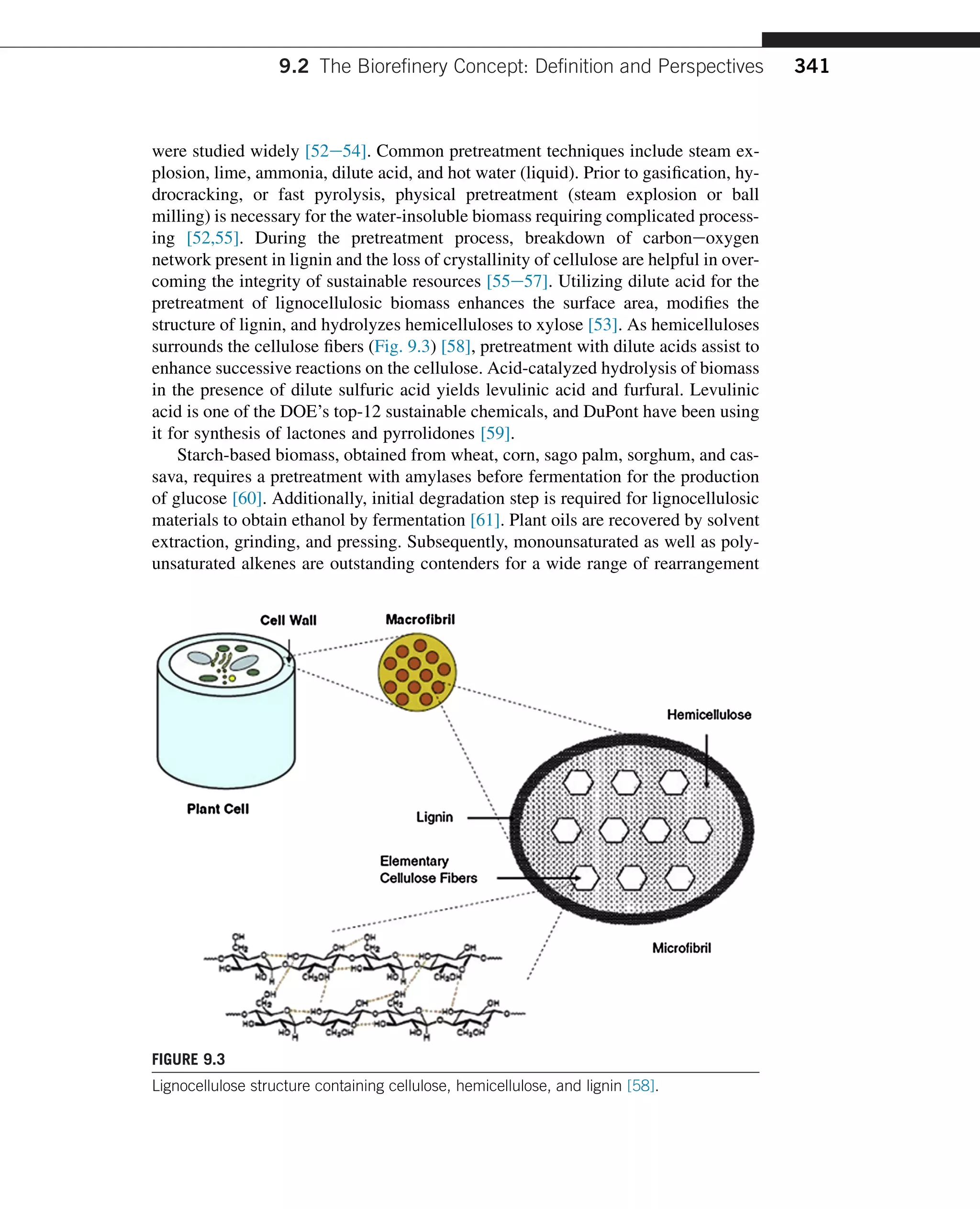 Chapter 9 a biorefinery processing polymers production | PDF ...