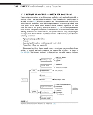 Chapter 9 a biorefinery processing polymers production | PDF