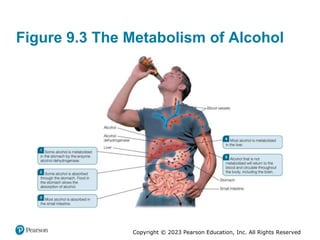CHAPTER 9 ALCOHOL.pptx