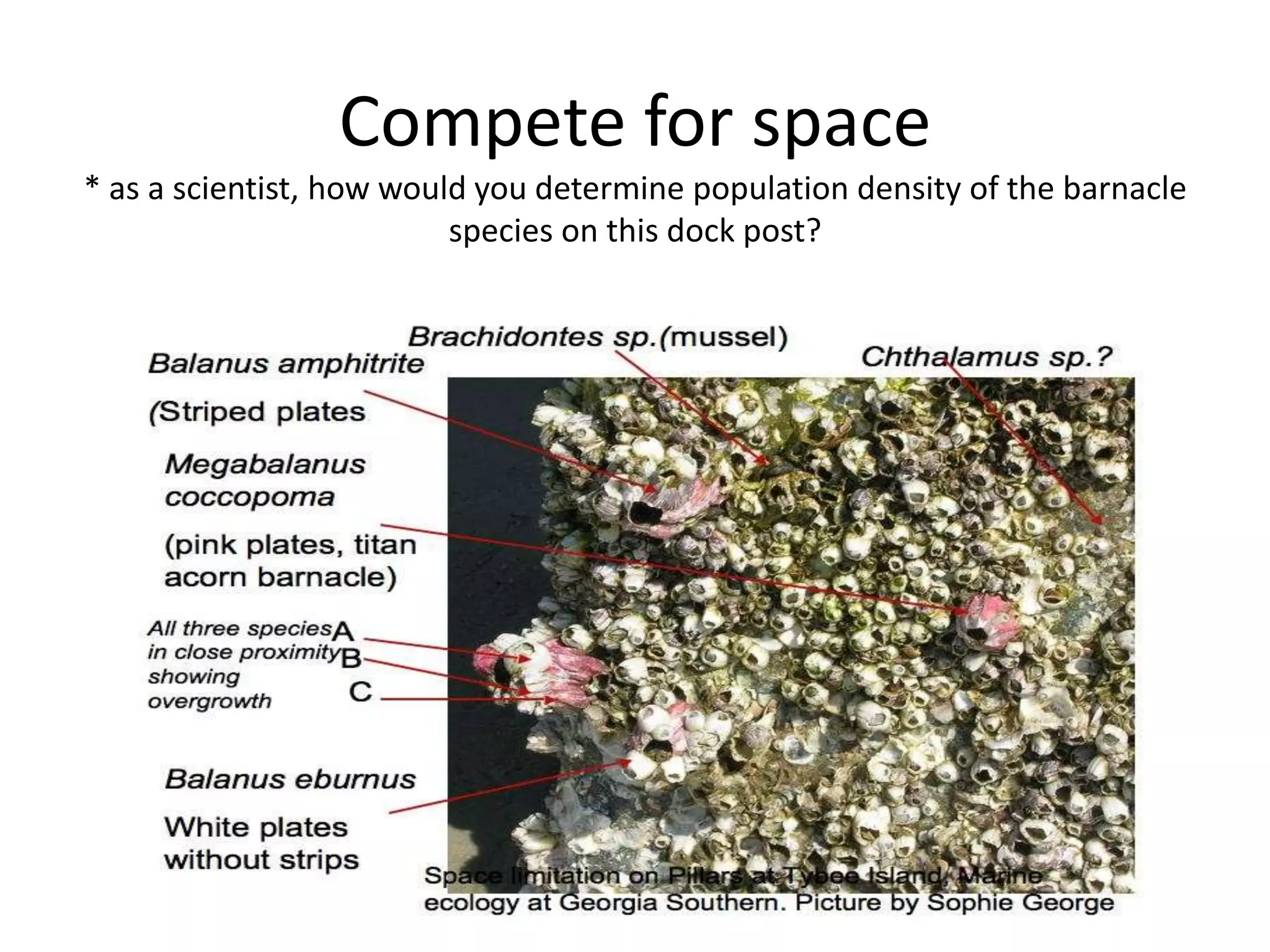 Chapter 9 arthropods | PPTX