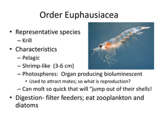 Chapter 9 arthropods | PPTX