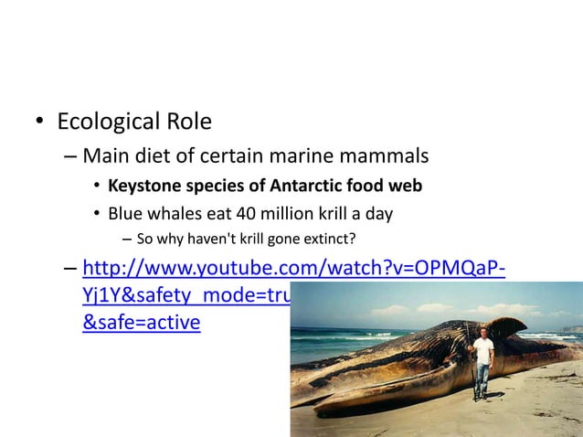 Chapter 9 arthropods | PPTX