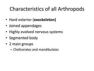 Chapter 9 arthropods | PPTX