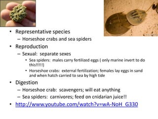 Chapter 9 arthropods | PPTX
