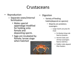 Chapter 9 arthropods zoology | PPTX | Zoos & Aquariums | Attractions