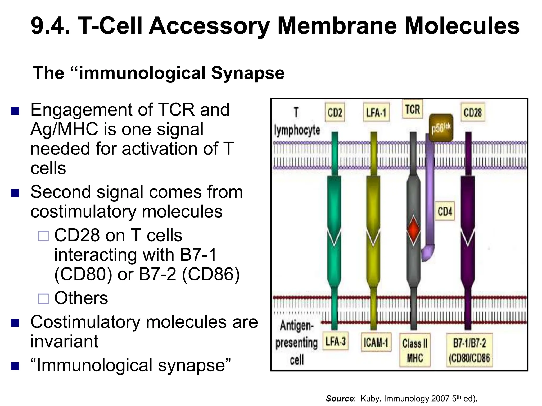 Chapter 9 Basic immunology ppts DZ 2010.ppt