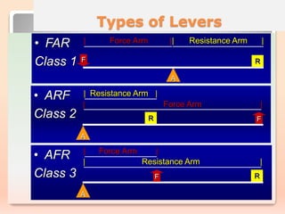 Chapter 9 Biomechanics and Sports | PPTX