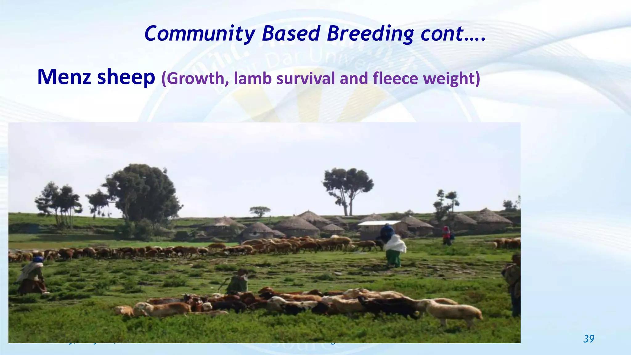 Chapter 9_Breeding program options_Birhan.pptx