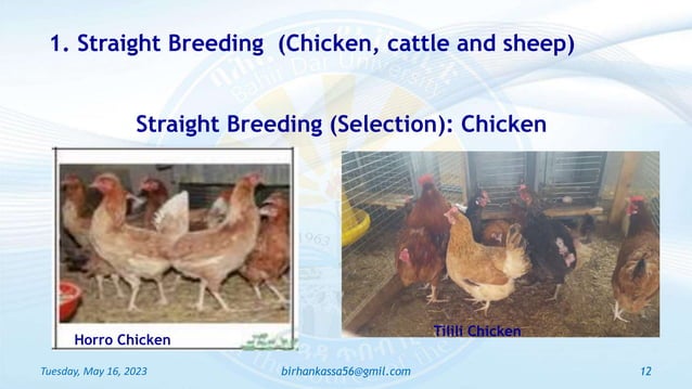 Chapter 9_Breeding program options_Birhan.pptx