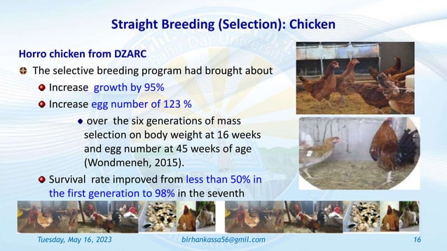 Chapter 9_Breeding program options_Birhan.pptx
