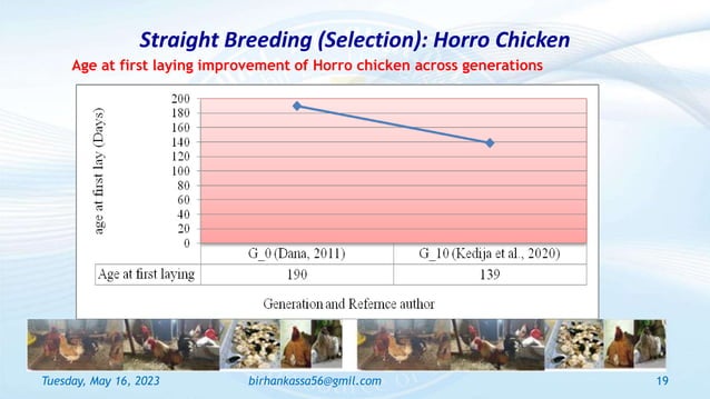 Chapter 9_Breeding program options_Birhan.pptx